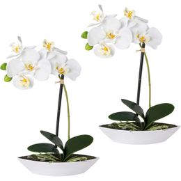 Kunstorchidee Creativ green, B:6,5cm H:30cm L:19,5cm, wei&szlig;, Kunststoff, Kunstpflanzen, "Phalaenopsis", 2er Set, in Kunststoffschale