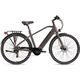 HOLLANDIA E-Bike "Mantova", 52cm, 28 Zoll (71,12cm), grau, Elektrofahrräder, Pedelec, Elektrofahrrad für Damen u. Herren