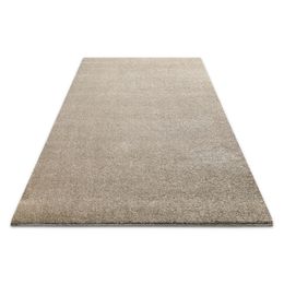 Hochflor-Teppich, B:200cm H:25mm L:290cm, beige, WECON HOME BASICS, Polyester, Teppiche, "Nova, auch als L&auml;ufer, auch quadratisch", Shaggy gewebt,