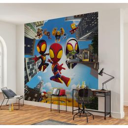 Komar Kindertapete "Marvel Spidey and His Amazing Friends Web Spinners", B/L: 250mm, Rollen:, bunt, Tapeten