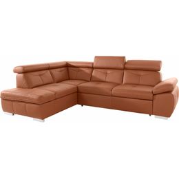 Ecksofa, B:274cm H:81cm T:206cm, braun, exxpo - SOFA FASHION, NaturLEDER (echtes Rindsleder) in Sitz und R&uuml;cken. Korpus in passendem Kunstleder