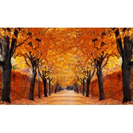 papermoon Fototapete "Autumn Alley", B/L: 5m x 2,8m, Bahnen: 10 Stk., bunt, Tapeten