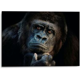 Alu-Dibond-Druck Platinum, B:70cm H:50cm T:2cm, schwarz, Aluminium, Bilder, "Gorilla", Joachim G. Pinkawa