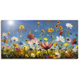 Wandbild Artland, B:40cm H:20cm, bunt, Wohnzimmer, Bilder, "Wildblumenwiese blauer Himmel", als Alubild, Outdoorbild, Leinwandbild, Poster,