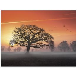 Glasbild Artland, B:80cm H:60cm, orange, Glas, K&uuml;che, Bilder, "Filigran und mehr...", in verschiedenen Gr&ouml;&szlig;en