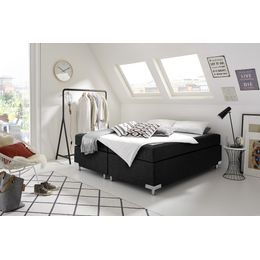 Boxspringbett, B:182cm L:201cm, grau, Westfalia Schlafkomfort, Strukturstoff (77% Polyester und 23% Viskose), Komplettbetten, "Holland", ohne