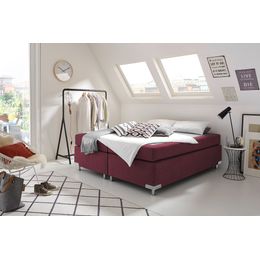 Boxspringbett, B:182cm L:201cm, rot, Westfalia Schlafkomfort, Microvelours (100% Polyester), Komplettbetten, "Holland", ohne Kopfteil, frei im Raum