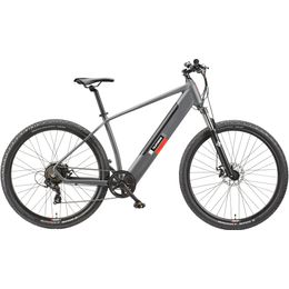 Telefunken E-Bike "E-MTB Aufsteiger M919", 48cm, 29 Zoll (73,66cm), schwarz, Elektrofahrräder, Pedelec, Elektrofahrrad, Damen u. Herren, E-MTB,