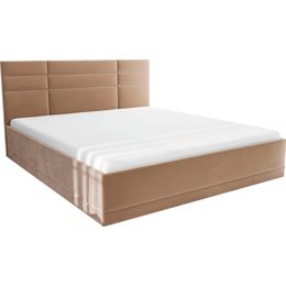 Polsterbett, B:160cm L:210cm, beige, Westfalia Schlafkomfort, Bezug 100% Polyester, Polsterung: Polsterwatte, Material Gestell: gepolsterter
