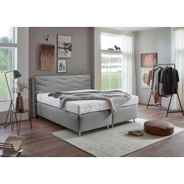 Boxspringbett, B:175cm L:210cm, grau, Westfalia Schlafkomfort, Bezug Bett: Microvelours (100% Polyester) oder Feinstruktur (100% Polyester);Bezug