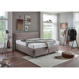 Boxspringbett, B:195cm L:210cm, beige, Westfalia Schlafkomfort, Bezug Bett: Microvelours (100% Polyester) oder Feinstruktur (100% Polyester);Bezug