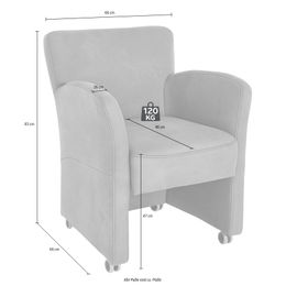 Sessel, B:66cm H:83cm T:66cm, beige, exxpo - SOFA FASHION, NaturLeder;Strukturstoff (Zusammensetzung: Polyester 100%);Luxus-Microfaser