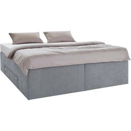 Boxspringbett, B:180cm L:200cm, grau, Westfalia Schlafkomfort, Bezug Bett: Feinstrukturstoff (77% Polyester, 23%Viskose) oder Microfaser (100%