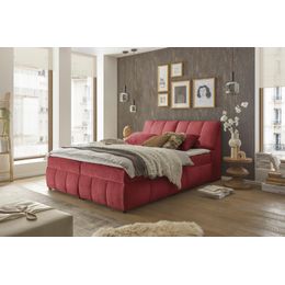 Boxbett, B:163cm L:240cm, rot, ED EXCITING DESIGN, 100% Polyester, Komplettbetten, "Valencia", inkl. Bettkasten und Stauraum im Kopfteil