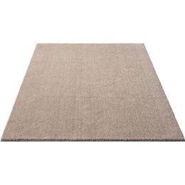 Hochflor-Teppich MERINOS, B:160cm H:25mm L:230cm, beige, Polypropylen (PP), Teppiche, "Forest 340", Shaggy, uni meliert, sehr dicht und weich,