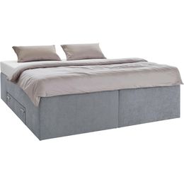 Boxspringbett, B:180cm L:200cm, grau, Westfalia Schlafkomfort, Bezug Bett: Feinstrukturstoff (77% Polyester, 23%Viskose) oder Microfaser (100%