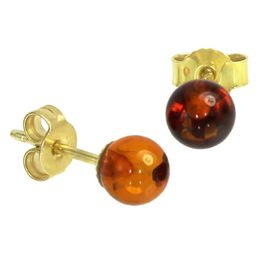 OSTSEE-SCHMUCK Damen Paar Ohrstecker "- Klassisch 6 mm - Gold 333/000 - Bernstein", Gelbgold 333, gold, Gelbgold 333, Ohrringe