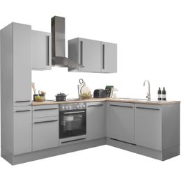 Winkelk&uuml;che, B:250cm H:211cm T:60cm, grau, BASIC BY BALCULINA, Komplettk&uuml;chen-Sets, "Denver, K&uuml;che BxHxT 250/115 x 211 x 60", Breite 250 cm,