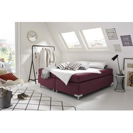 Boxspringbett, B:202cm L:201cm, rot, Westfalia Schlafkomfort, Microvelours (100% Polyester), Komplettbetten, "Holland", ohne Kopfteil, frei im Raum