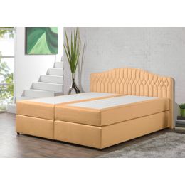 Boxspringbett Maintal, braun, Seitliche Einfassung Unterbox und Obermatratze: Mikrovelours (100% Polyester);Spiegelfl&auml;che der Unterbox und