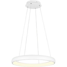 Trio LEUCHTEN LED Pendelleuchte "CARDONA, LED Ring Hängeleuchte, 6900 Lumen 59W, Lichtfarbe einstellbar", 1, Ø 75cm H: 150cm, 1 Stk., weiß, Leuchten,