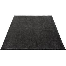 Hochflor-Teppich MERINOS, B:200cm H:25mm L:290cm, grau, Polypropylen (PP), Teppiche, "Forest 340", Shaggy, uni meliert, sehr dicht und weich,