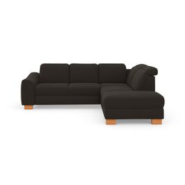 Sit & More Ecksofa SIT & MORE, B:263cm H:86cm T:219cm, braun, Wohnzimmer, Sofas, "Dundee L-Form", mit Federkern und Massivholzf&uuml;&szlig;en, wahlweise mit