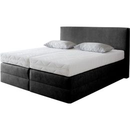 Boxspringbett, B:195cm L:205cm, schwarz, Westfalia Schlafkomfort, Microvelours (100% Polyester), Komplettbetten, wahlweise mit Kaltschaum-Topper