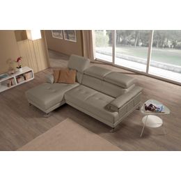 Ecksofa Egoitaliano, B:250cm H:99cm T:166cm, grau, Leder &raquo;BULL&laquo; (echtes Rindsleder). Geschliffenes, pigmentiertes und behandeltes Rindsleder mit