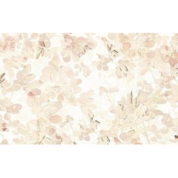 Komar Vliestapete "Digitaldruck Vlies - Sheer - Gr&ouml;&szlig;e 400 x 250 cm", B/L: 400mm x 250mm, Rollen:, wei&szlig;, Tapeten, Wohnzimmer, Schlafzimmer