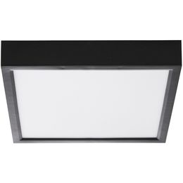 NOWA Deckenleuchte "PUCCY", schwarz, H: 3,6cm, 1 Stk., Leuchten, Deckenlampe Wohnzimmer-Leuchte Schlafzimmer-Leuchte Flur Küche