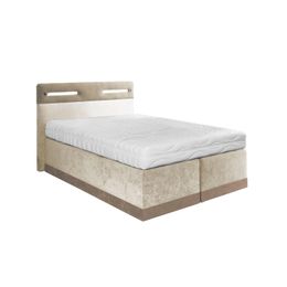 Boxspringbett, beige, Westfalia Schlafkomfort, Bezug Obermatratze 100% Polyester, waschbar bis 60C;Bezug Unterbox und Kopfteil: Mikrofaservelours