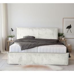 Polsterbett Collection AB "Marla erh&auml;ltlich in der Breite 180x200cm, mit Cordstoff bezogen", creme, B:207cm H:118cm L:215cm, Betten, Polsterbett, wahlweise mit Lattenrost und King-Matratze (28cm)
