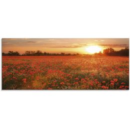 Glasbild Artland, B:125cm H:50cm, rot, Glas, Küche, Bilder, "Mohnblumenfeld bei Sonnenuntergang", in verschiedenen Größen