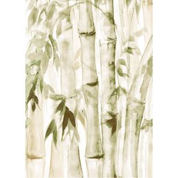 Bild Komar, B:50cm H:70cm, gr&uuml;n, Holz, Papier, Wohnzimmer, Bilder, "Wild Bamboo", Wandbild zur Dekoration - ohne Rahmen