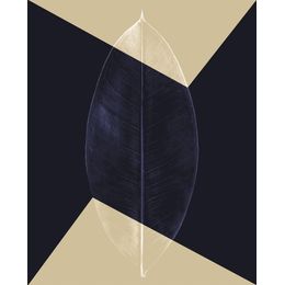 Bild Komar, B:40cm H:50cm, blau, Holz, Papier, Wohnzimmer, Bilder, "Lotus Theatre", Wandbild zur Dekoration - ohne Rahmen