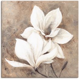 Leinwandbild Artland, B:30cm H:30cm, beige, Wohnzimmer, Bilder, "Klassische Magnolien", als Alubild, Outdoorbild, Leinwandbild, Poster, Wandaufkleber