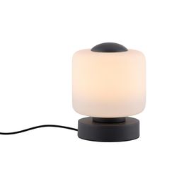 Paul Neuhaus Tischleuchte "BOTA", 1, &Oslash; 12cm H: 15cm, 1 Stk., grau, H:15cm &Oslash;:12cm, Leuchten, LED, dimmbar &uuml;ber Touchdimmer
