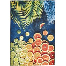 Teppich Sansibar, B:60cm H:5mm L:100cm, bunt, Polypropylen, Wohnzimmer, Teppiche, "Rantum Beach 004", Flachgewebe, modernes Sommer Design, In- und