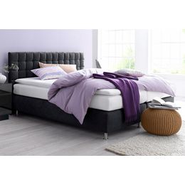Boxspringbett, B:215cm L:210cm, schwarz, Westfalia Schlafkomfort, Microvelours (100% Polyester);Strukturstoff (77% Polyester und 23%