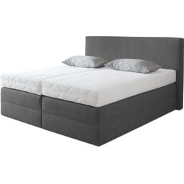 Boxspringbett, B:175cm L:205cm, grau, Westfalia Schlafkomfort, Microvelours (100% Polyester), Komplettbetten, wahlweise mit Kaltschaum-Topper