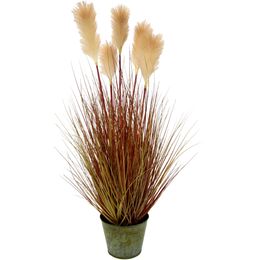 Kunstpflanze I.GE.A., B:40cm H:105cm L:40cm, beige, Polyester, Kunstpflanzen, "Pampasgras", Im Metalltopf