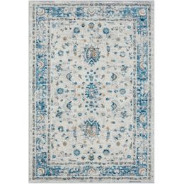Teppich, B:160cm H:8mm L:230cm, braun, MyFlair M&Ouml;BEL & ACCESSOIRES, Polyester, Wohnzimmer, Teppiche, "My Heriz", Kurzflor, klassisches Orient Design,
