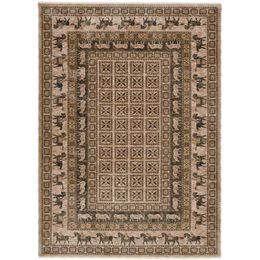Teppich Theko, B:80cm H:10mm L:150cm, bunt, Polyester, Wohnzimmer, Teppiche, "Beatrice GF-137", Kurzflor, Orient Optik, mit Bord&uuml;re & Fransen,