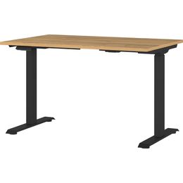 Schreibtisch Germania, B:120cm H:120cm T:80cm, schwarz, B&uuml;ro, Tische, "GW-Agenda elektrisch h&ouml;henverstellbar (72-120 cm)", mit Memory-Funktion &