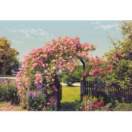 Komar Fototapete "Rose Garden - Gr&ouml;&szlig;e 368 x 254 cm", B/L: 368mm x 254mm, Rollen: 8 St., bunt, Schlafzimmer, Tapeten, Wohnzimmer, Schlafzimmer