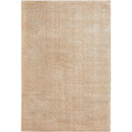 Hochflor-Teppich ANDIAMO, B:80cm H:40mm L:150cm, beige, Obermaterial: 100% Polypropylen, Teppiche, "Chicago", Uni Farben, weich & kuschelig, ideal im