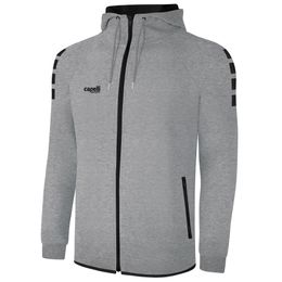 CAPELLI SPORT Herren Sweatjacke, grau, Gr. S, Obermaterial: 80% Baumwolle, 20% Polyester, Sweatjacken