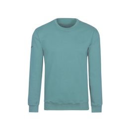 TRIGEMA Damen Sweatshirt "TRIGEMA Sweatshirt aus Biobaumwolle", gr&uuml;n, Basic, Gr. M, 75% Baumwolle (Biobaumwolle kbA), 25% Baumwolle (recycelt),