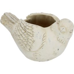 Pflanzkübel I.GE.A., B:22cm H:11cm, beige, Beton, Terasse, Pflanzgefäße, "Zement-Pflanztopf Vogel", Kübel Blumenkübel Pflanzgefäß für Sukkulenten
